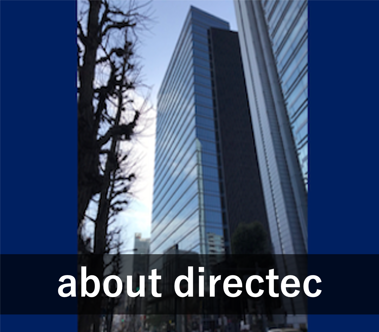 directec.jp